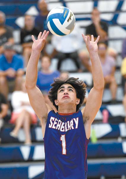 Adolpho, Farmers complete undefeated regular season | News, Sports ...